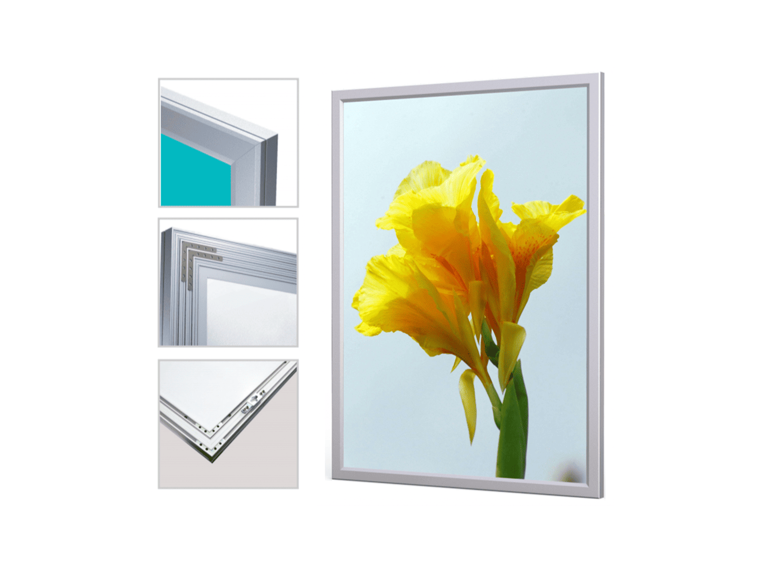 Slim ImageArt Media Frame | EOS Light